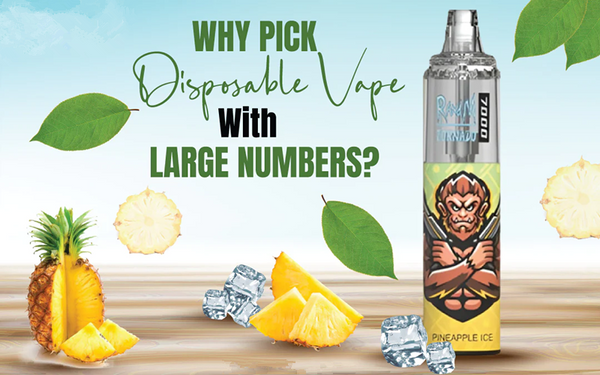 Why Pick Disposable Vape With Large Numbers? – cometovape