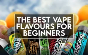 The Best Vape Flavours for Beginners – cometovape